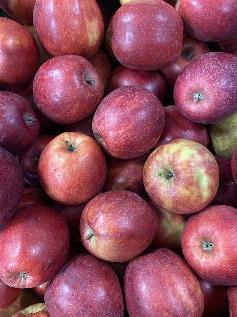 Appels Elstar Bioschuur Biologische Boerderijwinkel