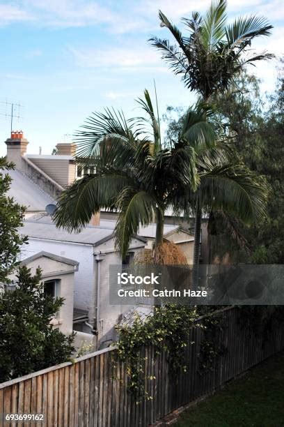 Bangunan Bata Putih Perumahan Khas Australia Foto Stok Unduh Gambar