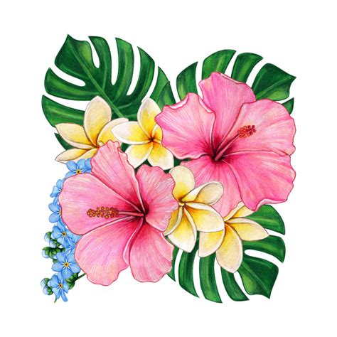 Flores Hawai Png Para Descargar Gratis