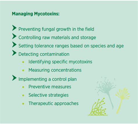 Mycotoxin Control Focusing On The Problem