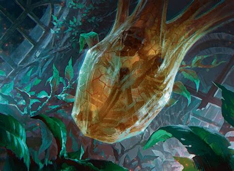 Mtg Standard Aetherdrift Simic Manifest Top Decks • Mtg Decks