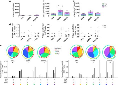 Cellular Response Induced By Vaccination Interferon γ Secreting Cells
