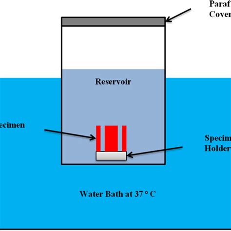 The Fdm Fabrication Process Requires Auxiliary Support Structures In
