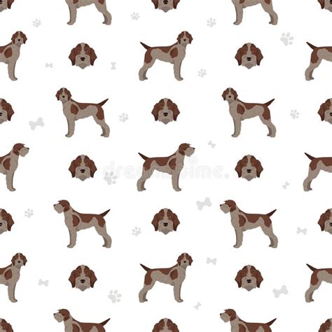 Wirehaired Pointer Coloring Stock Illustrations 32 Wirehaired Pointer