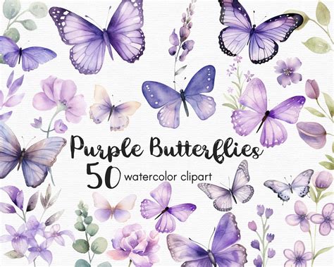 Purple Butterfly And Flower Clipart Poster Close Up Of Butterfly