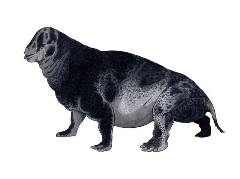 Moschops Capensis By Themorlock On Deviantart