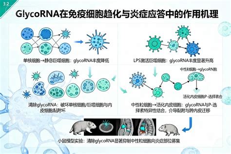 手绘风生物科研细胞机理插画素材 Ai智能生成设计模板 千图ai