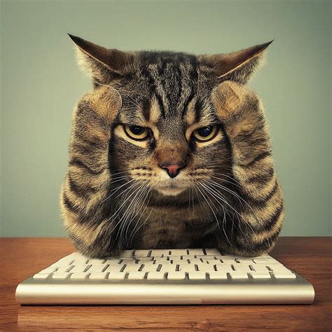 Tired Of Data Analysis Feeling Like A Marathon ‍🏃‍♀️ Pandas Will Make