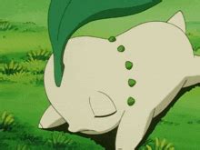 Chikorita S Tenor