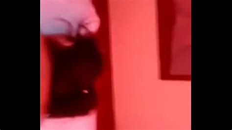 Cholita Pollera Peruana Search