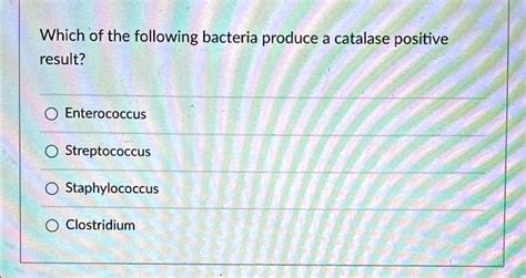 Which Of The Following Bacteria Produce A Catalase Positive Result