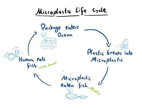 Microplastics Jesper Eggers