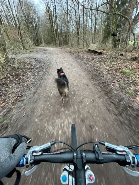 Pin Von Sam Auf Aussie Sam