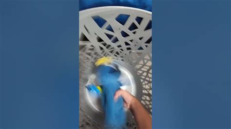 Bule Meets Why Yarnabe Youtube