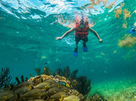 Snorkeling Adventure Cancun All You Need To Know Before You Go 2026