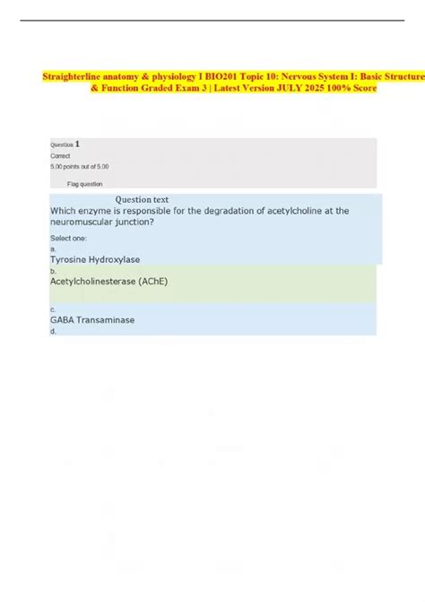 Straighterline Anatomy And Physiology I Bio201 Topic 10 Nervous System I Basic Structure