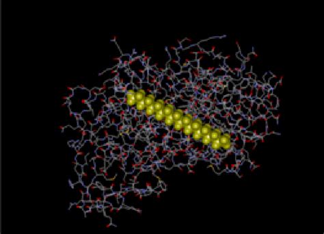 Molecular Docking Of Beta Lactamase With Eicosane Complex It