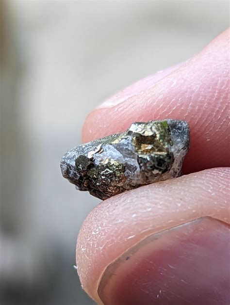 Third Cousin 11 Found This Was Wanted To Show It Off Rrockhounds