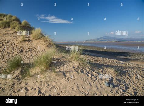 View Of Sand Dunes And Estuary Duddon Sands Duddon Estuary Sandscale