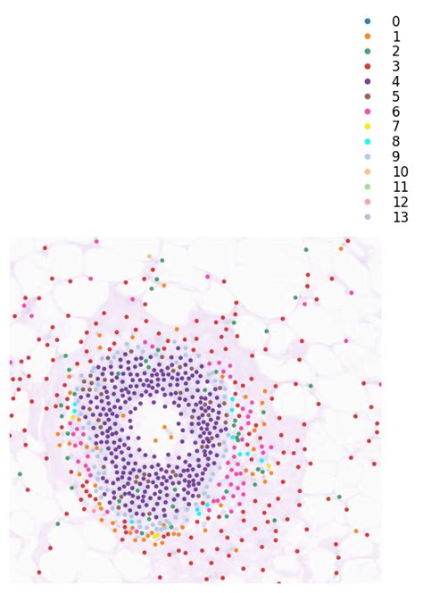 Pseudotime Spatial Trajectory Inference With Xenium Data Stlearn Documentation