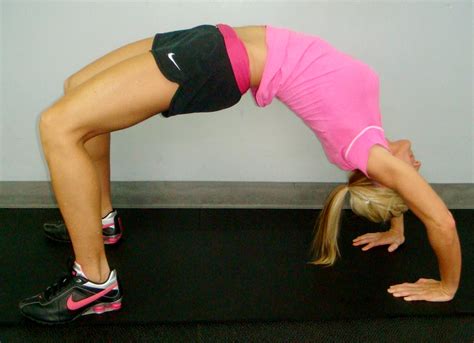 Bridge Garden Picture Bridge Exercise