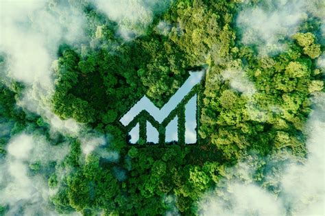 Natural Capital Is No Longer Peripheral Asset Manager Report