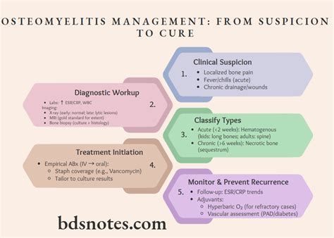 Osteomyelitis Diagnosis And Treatment Bds Notes