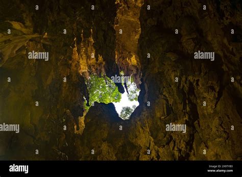Beautiful Cave With Sky And Forest Inside Limestone Cave Of Batu Cave