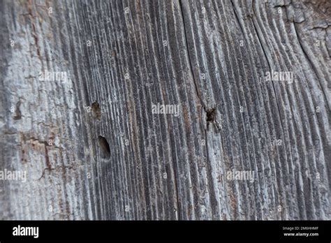 Old Weathered Wooden Beam With Distinctive Grain Texture Pattern