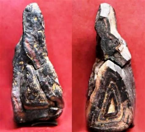 Ritual And Reverence Unveiling The Prehistoric Goddess Of Baghor