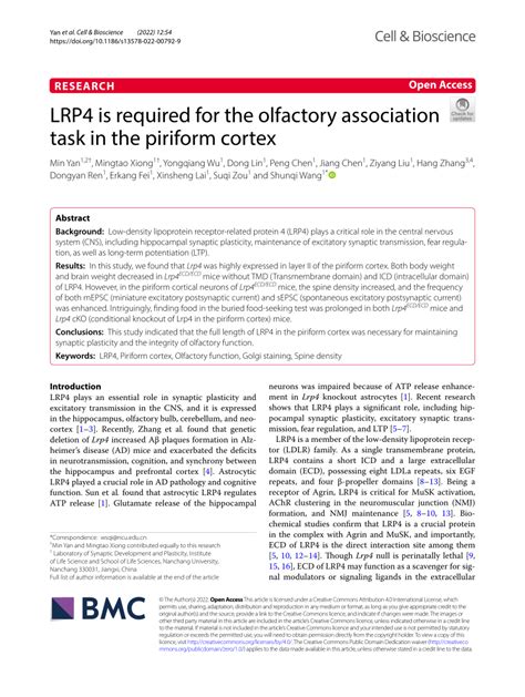 Pdf Lrp4 Is Required For The Olfactory Association Task In The Piriform Cortex