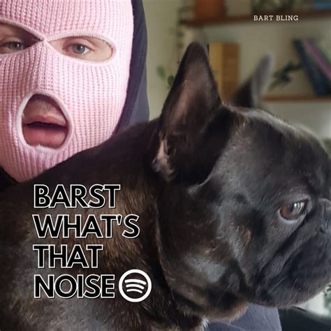 Barst Whats That Noise Bart Bling Playlist By Zenob Be Spotify