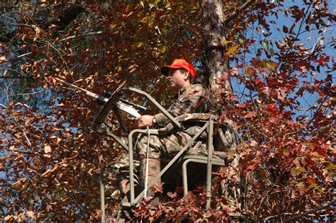 Complacency Often Leads To Treestand Firearms Accidents The Cullman Tribune