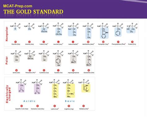 Mcat Practice Questions To Boost Your Exam Readiness
