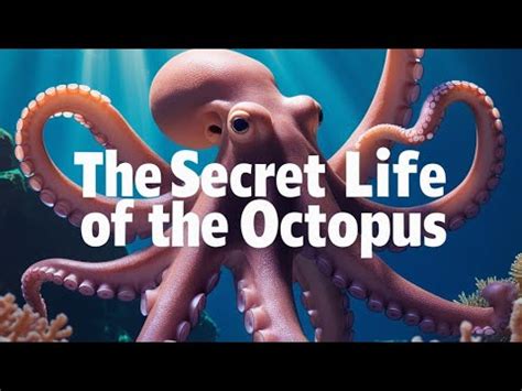 The Secret Life Of The Octopus Natures Underwater Genius Youtube