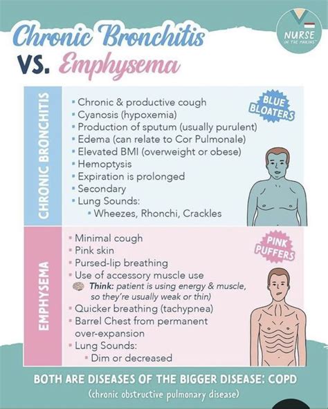 Pin On Nursing School Resources