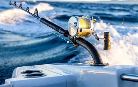5 Merek Pancing Terbaik Untuk Pemula 2025 Mulai Petualangan