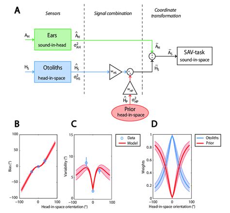 3 A Restricted Optimal Integration Model For Audio Vestibular