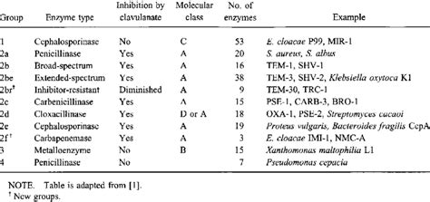 Beta Lactamase Functional Classification Online Biology Notes