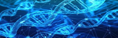 Las Palabras Pueden Modificar El Adn Centro Renaser