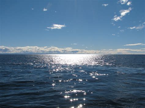 Portrait Of A Captain Evan Solly Hobitss Slow Slip Under The Sea