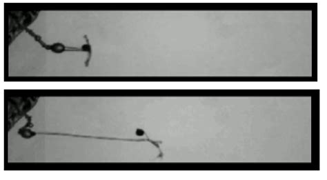 Firing Fungus 03 Arunn Narasimhan