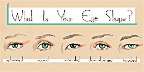 Mary Kay Eye Makeup Application Chart
