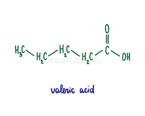Valeric Acid Hand Drawn Vector Formula Chemical Structure Lettering