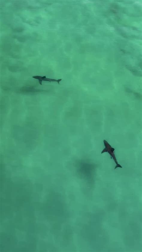 Trystan Snodgrass Dronedudetrystan • Instagram Photos And Videos