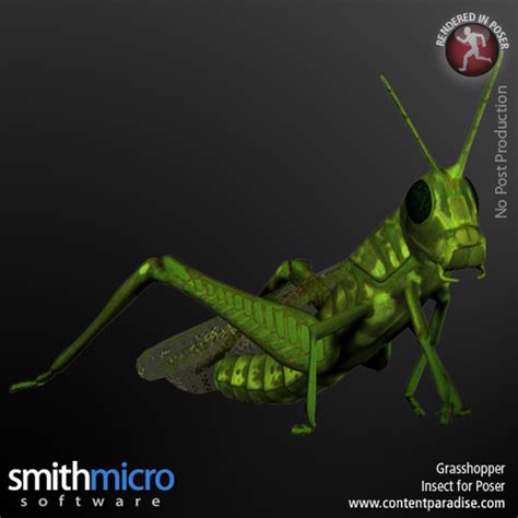 Grasshopper Legacy Discounted Content Posersoftware