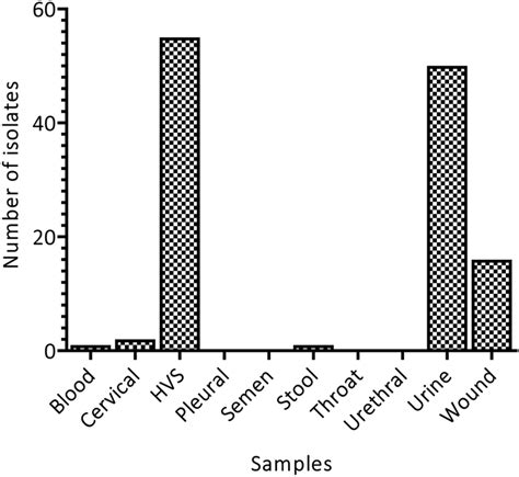 Distribution Of Different Clinical Isolates Among The Various Samples Download Scientific Diagram