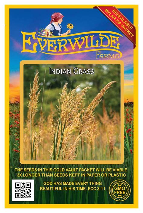Everwilde Farms 1000 Indian Grass Seeds Warm Season Perennial