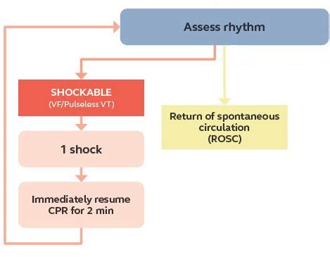 Shockable Rhythm Arm Of The Als Algorithm Rcemlearning India