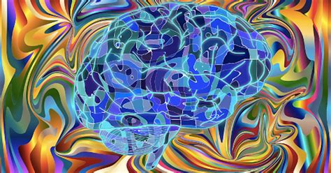 Lsd Gives Congenitally Blind Man Synesthesia Like Hallucinations